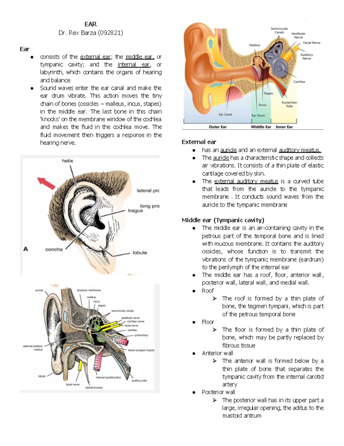 Gross Anatomy: Ears - EAR Dr. Rex Barza (092821) Ear consists of the ...