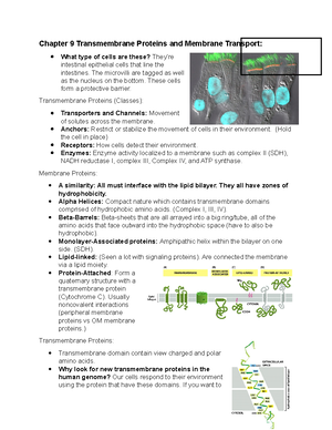 Genetics Final Exam Review I - Genetics Final Exam Review Chapter 1 ...