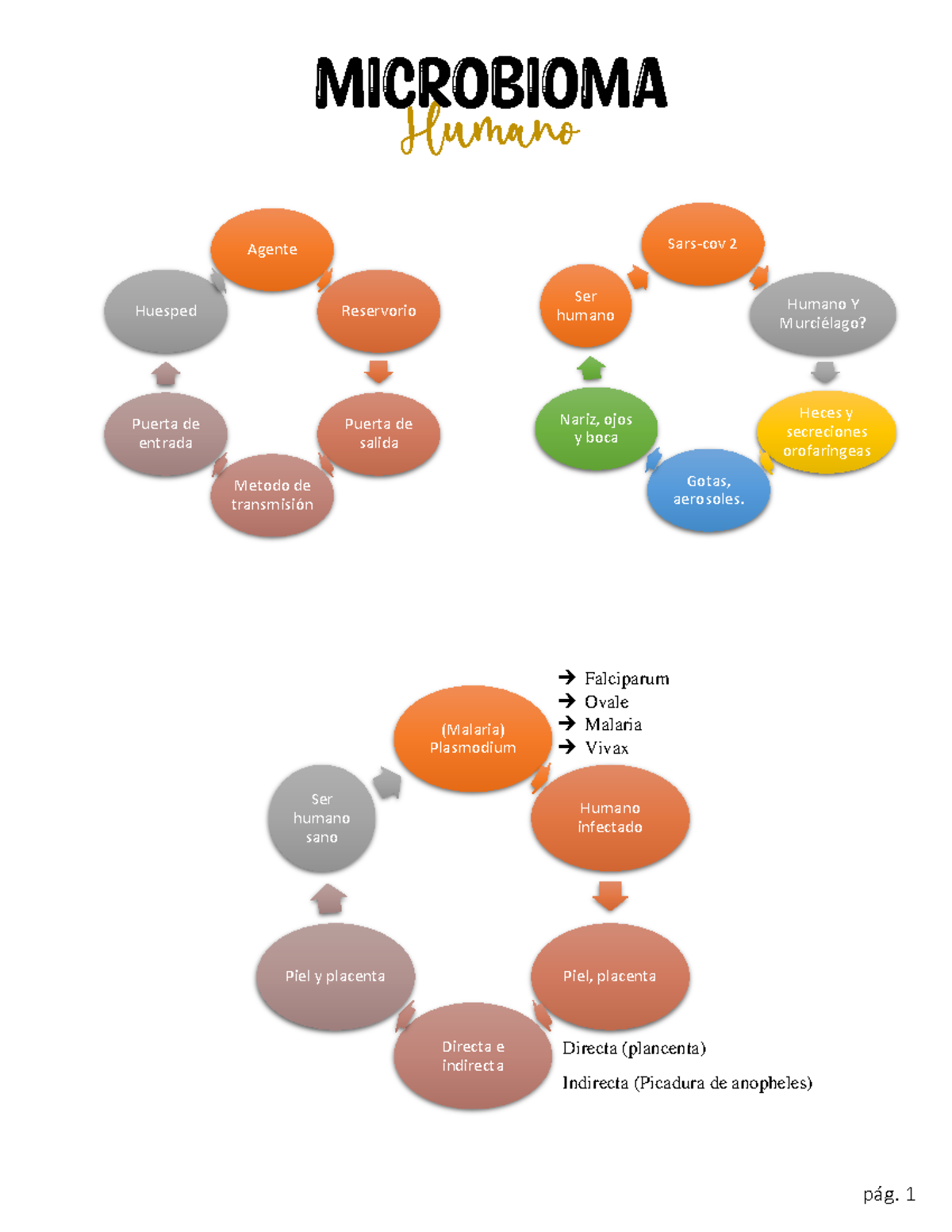 02. Microbioma humano - Apuntes 1 - Humano MICROBIOMA Agente Reservorio ...