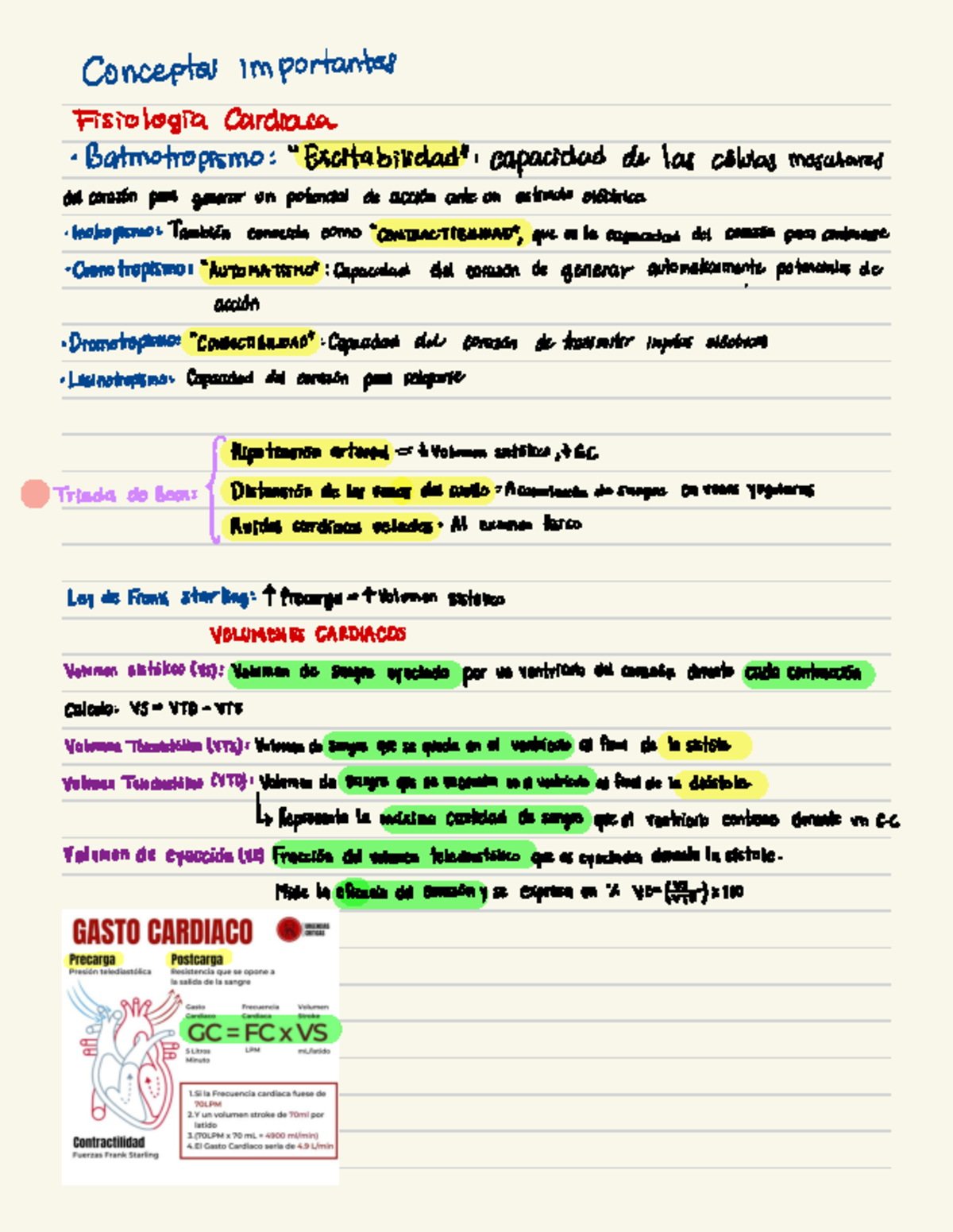 Cursos apuntes - Conceptos básicos - Conceptos importantes Fisiologia ...