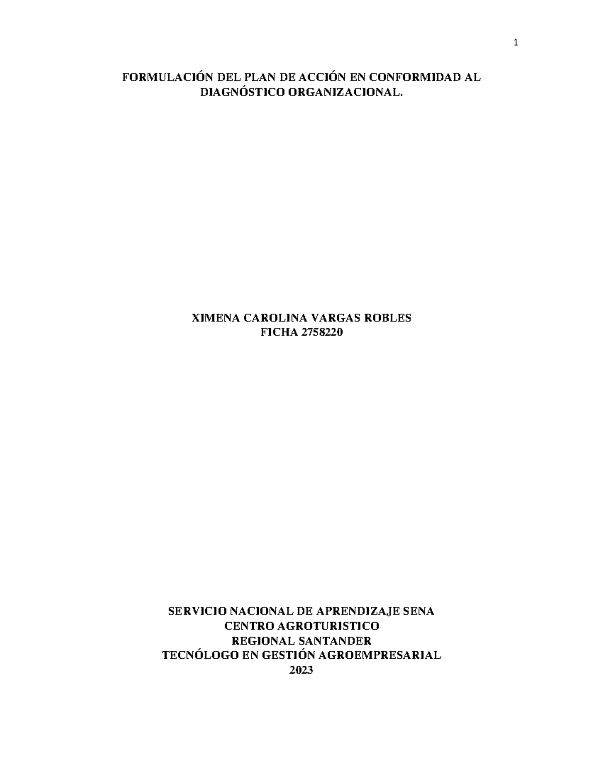 Formulación del plan de acción en conformidad al diagnóstico ...