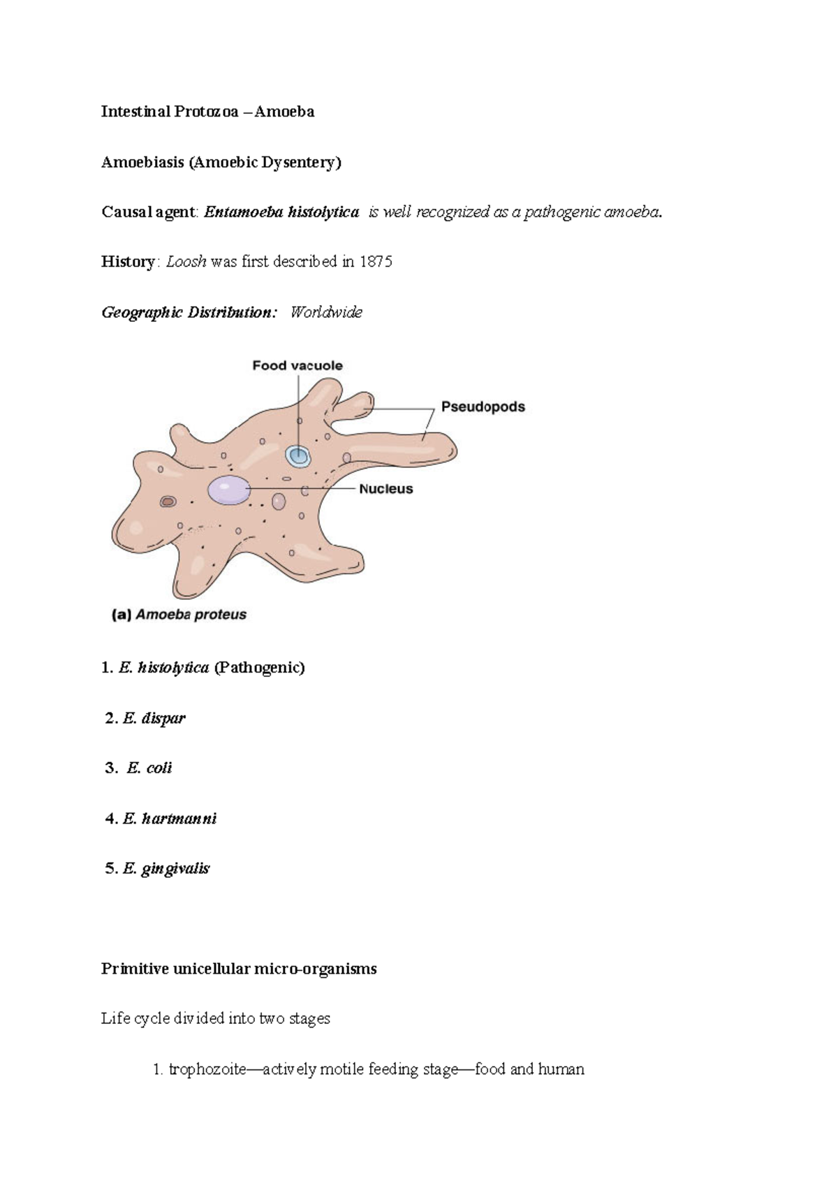 Intestinal Protozoa Amoeba - Intestinal Protozoa – Amoeba Amoebiasis ...