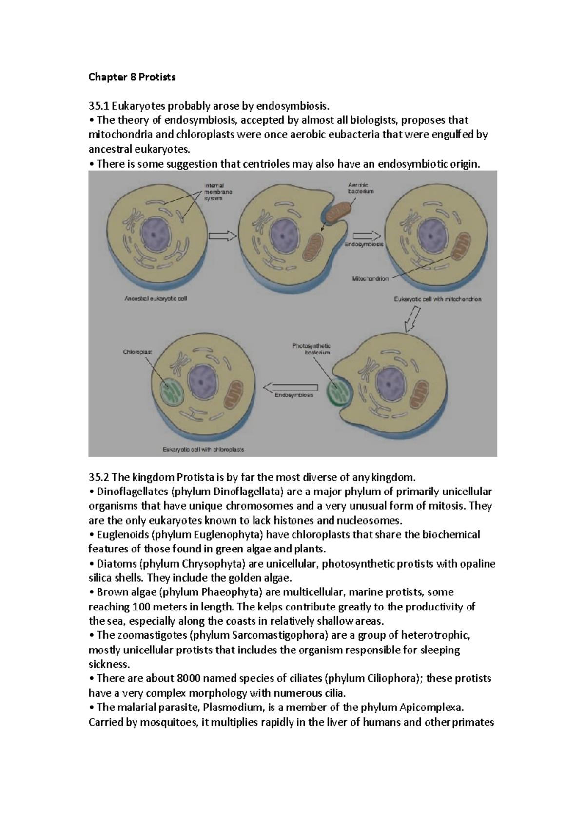 BIOL 30 Summary Ch8 - Chapter 8 Protists 35 Eukaryotes probably arose ...