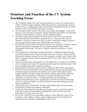Structure and Function of the Renal and Urologic Systems Teaching Focus - Structure and Function ...
