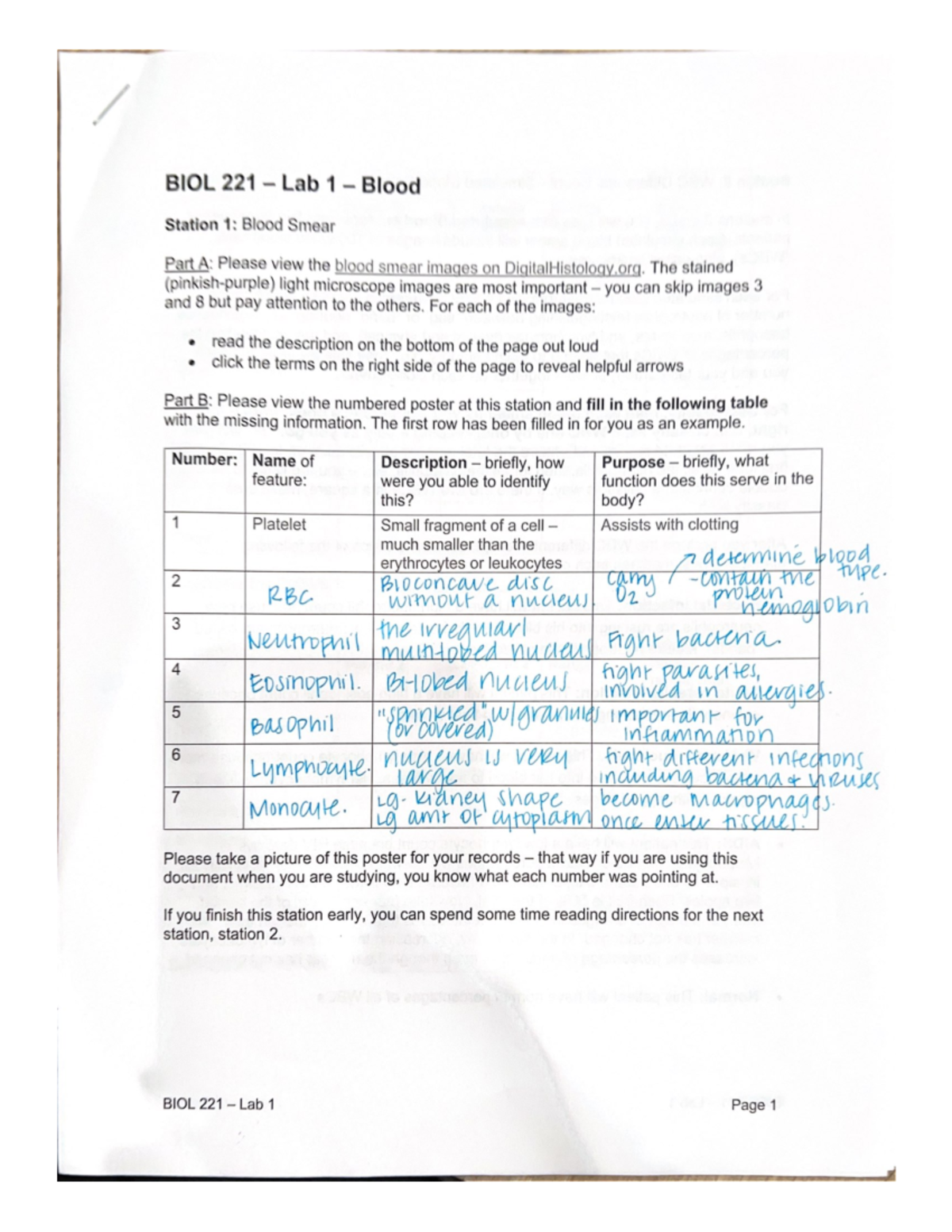 BIOL 221 - Lab 1 - Blood - Lab assignment - BIOL 221 - Studocu