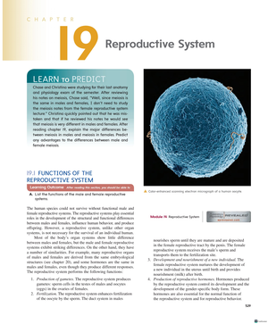Partnership Formation AND Operation - Partnerships: Formation and ...