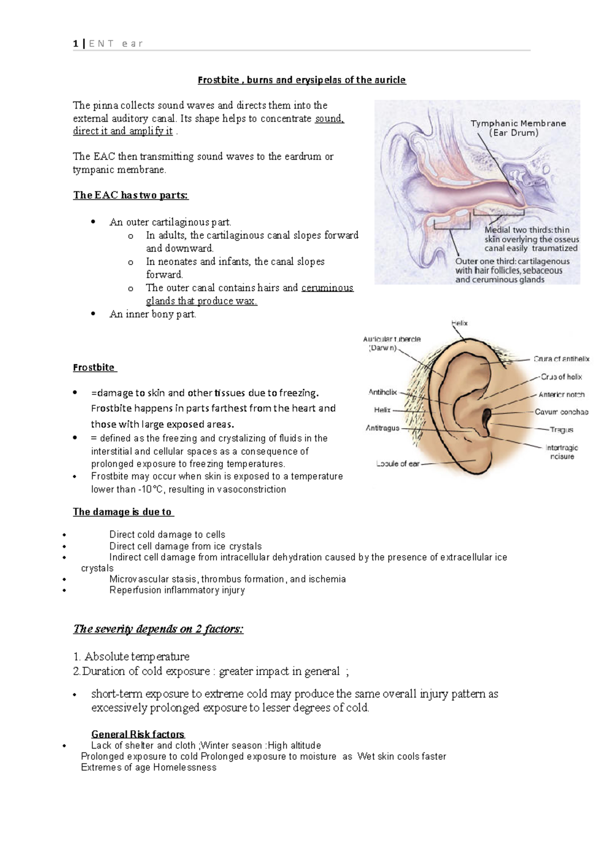 ENT EAR - notes - Frostbite , burns and erysipelas of the auricle The ...