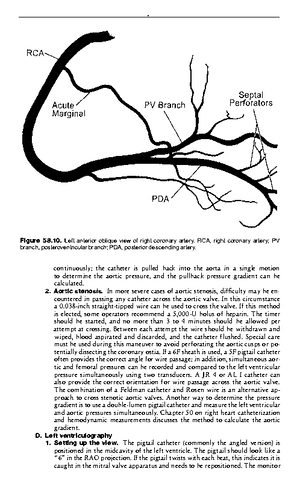 Week5 and 6 materials - Practice - Calculus: Differentiation MF19: CIE ...