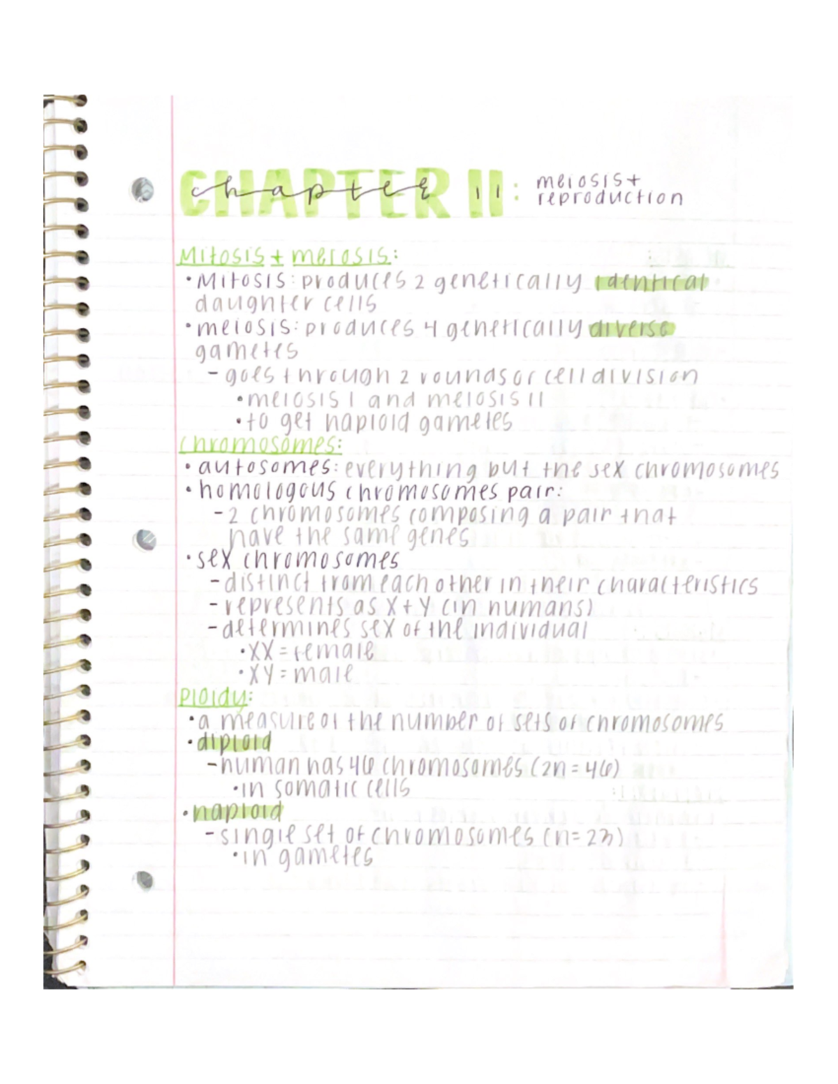 Bio 111 chapter 11 - meiosis and reproduction - BIOL 111 - Studocu