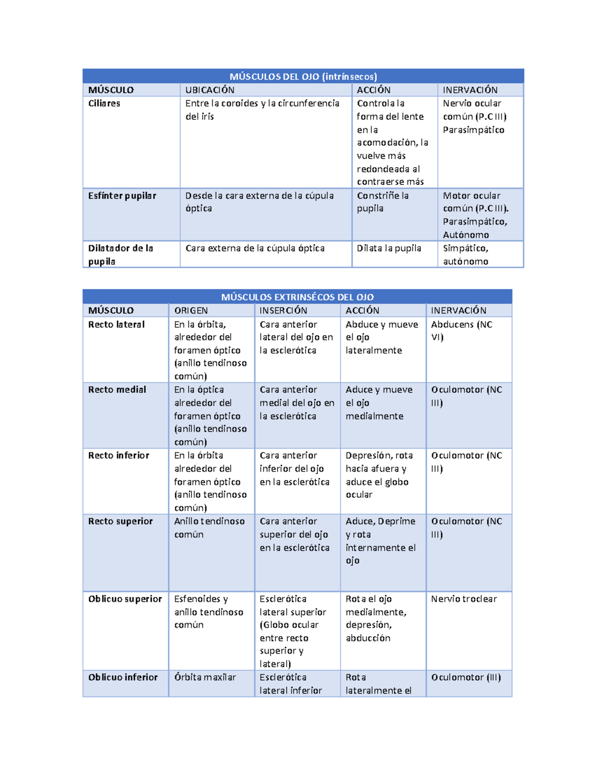 Músculos - Netter Atlas De Anatomia Humana - Warning: TT: undefined ...
