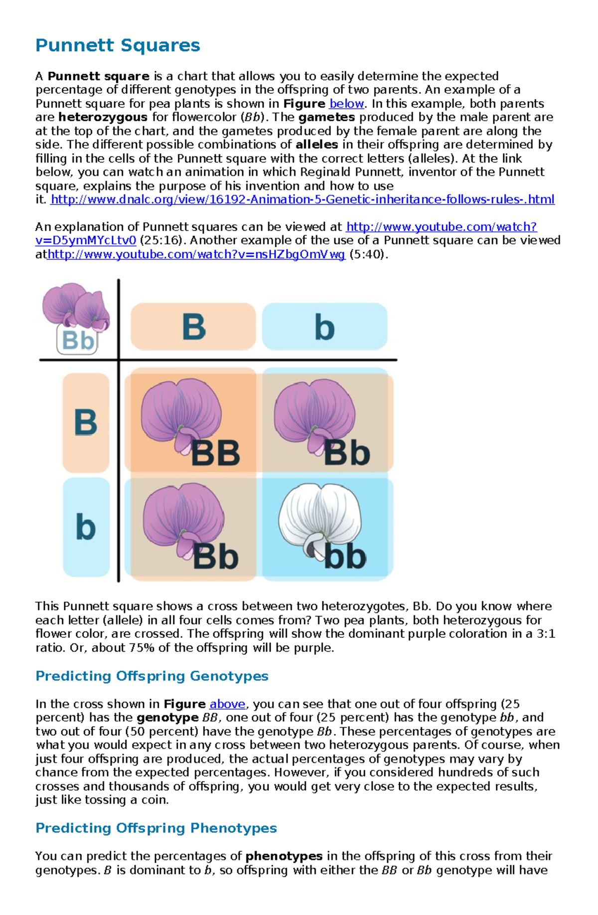 Pedigree - Science class notes - Punnett Squares A Punnett square is a ...