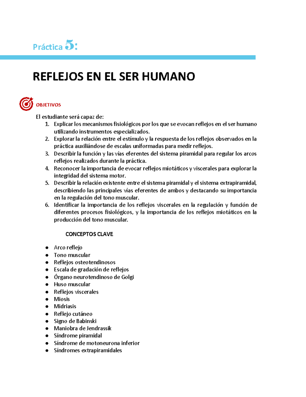 5. Reflejos en el Ser Humano - Pr·ctica 5 : REFLEJOS EN EL SER HUMANO OBJETIVOS El estudiante ...