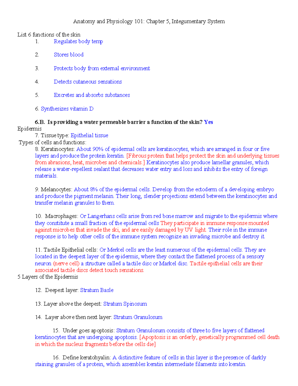 A&P Chapter 5 (Barker) - study guide - Anatomy and Physiology 101 ...