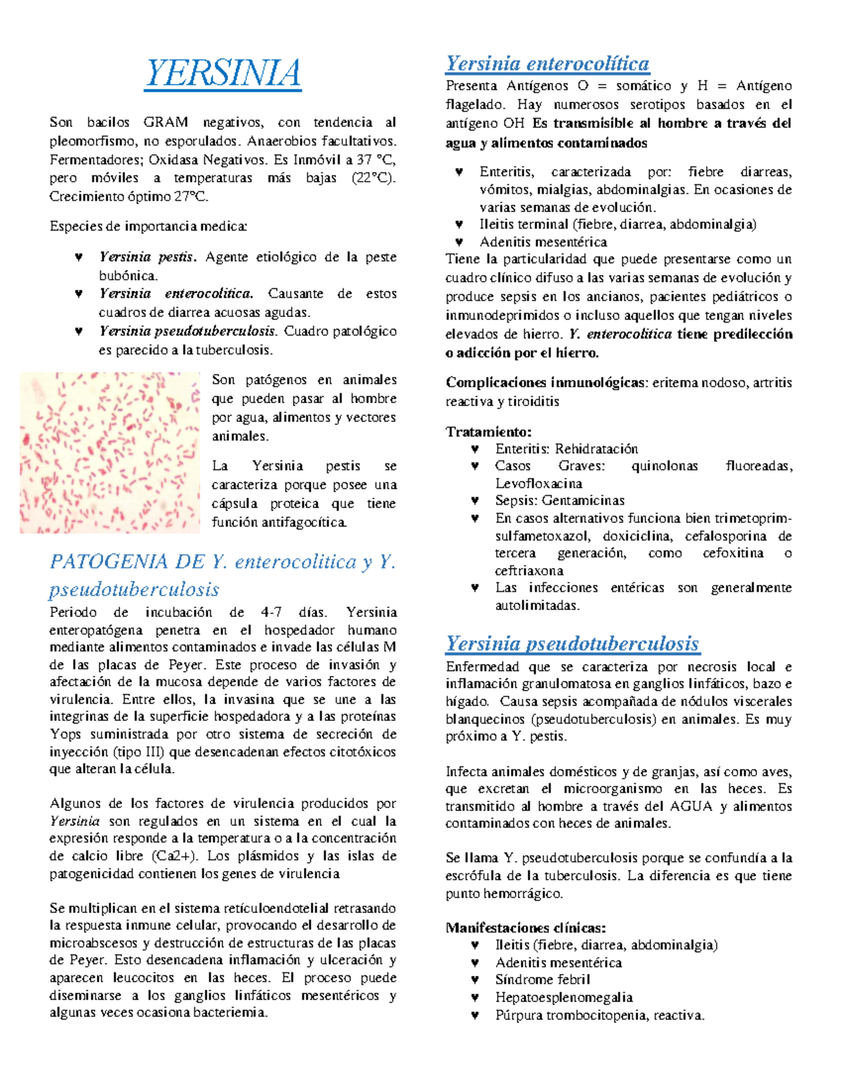 Yersinia 230128 151625 - YERSINIA Son bacilos GRAM negativos, con ...