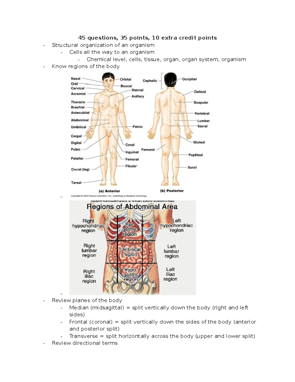 Physio Anatomy Final Semester 1 1 13 2020 - 45 questions, 35 points, 10 ...