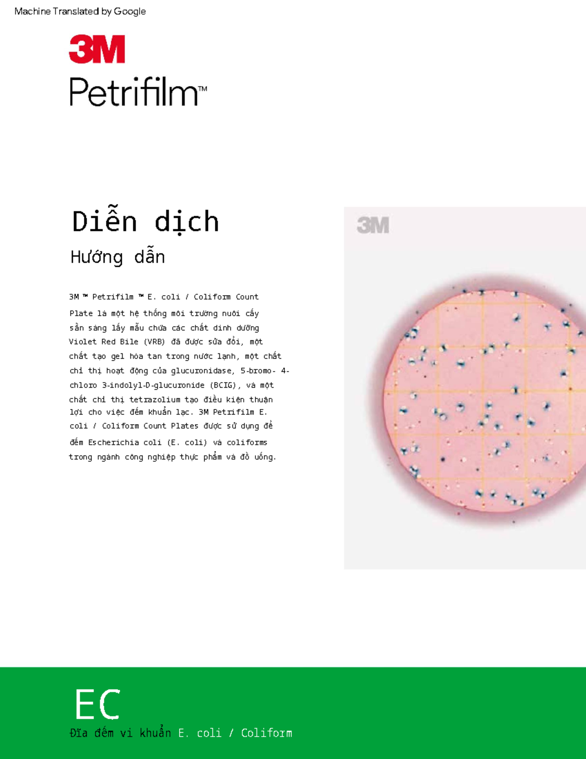 3M Ec Petrifilm Interpretation Guide – HMVF