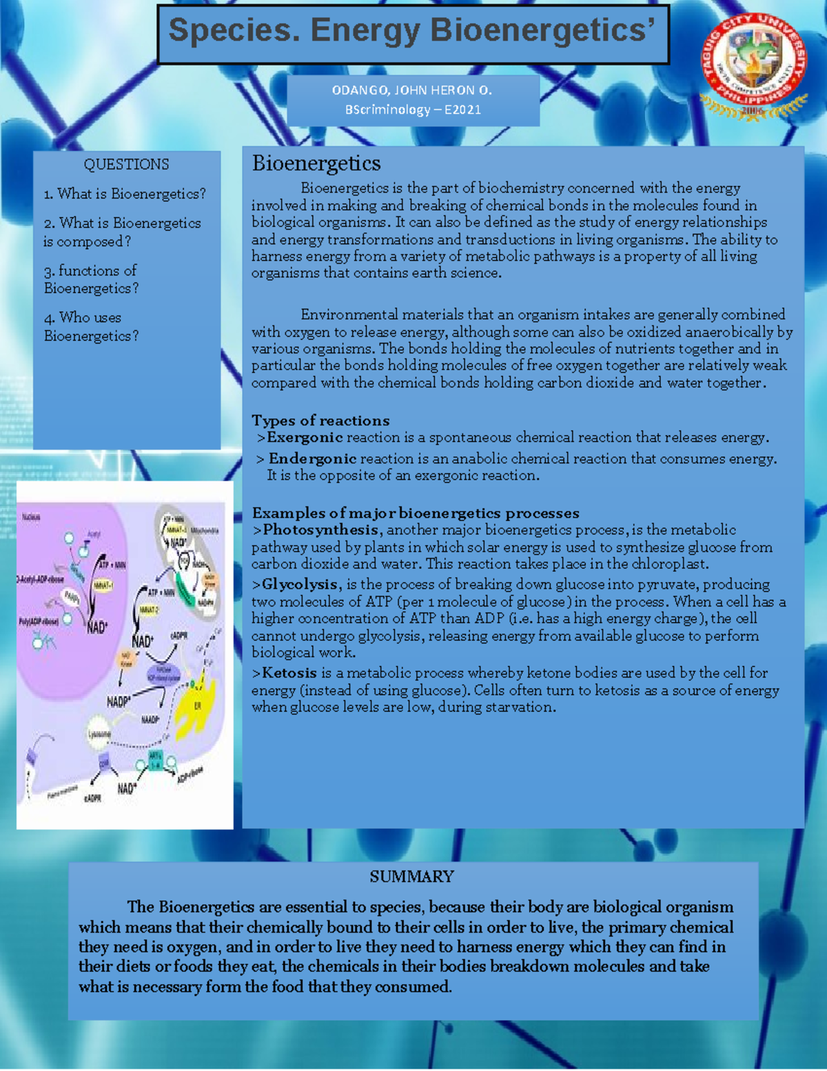 Species. Energy Bioenergetics’ ACTY#1 cornells notes - SUMMARY The ...