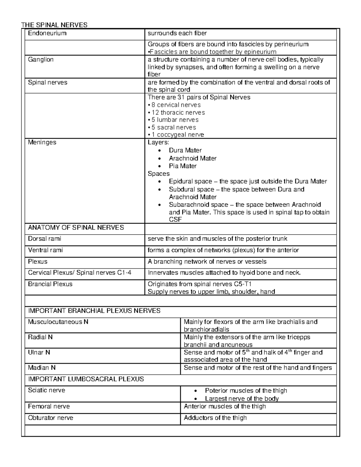 Spinal Nerves - Lecture notes - THE SPINAL NERVES Endoneurium surrounds ...