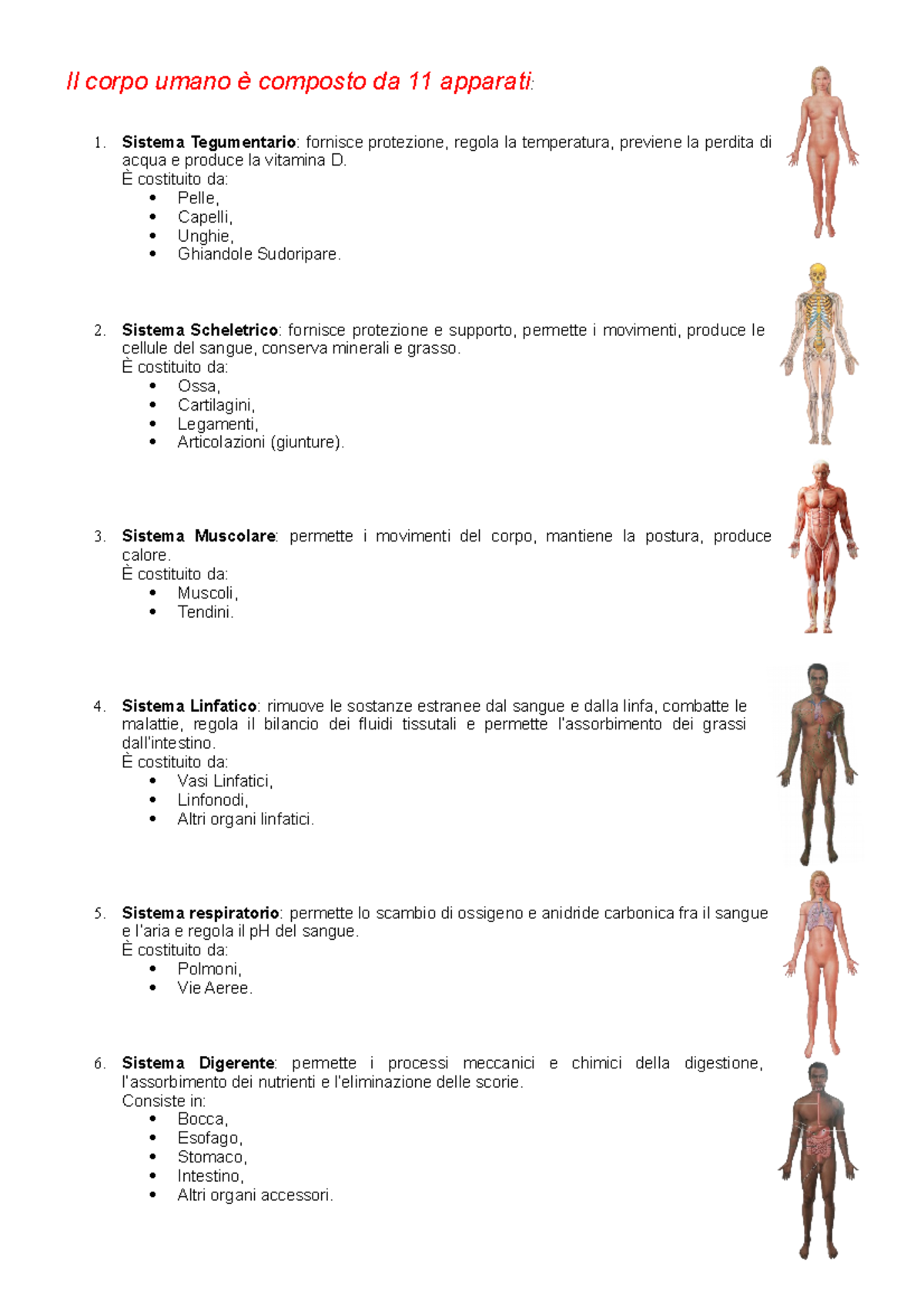 Anatomia e Fisiologia - scienze motorie - Il corpo umano è composto da 11 apparati: Sistema ...