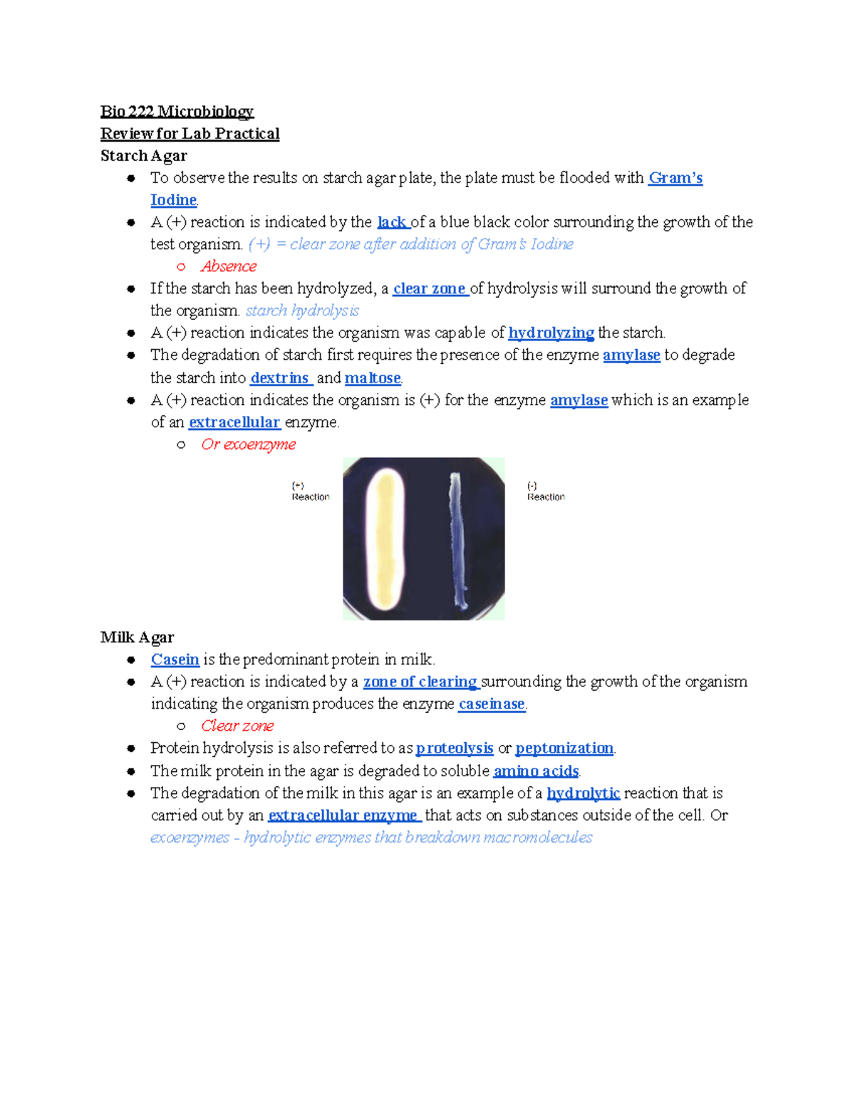 BIO 222 Lab Practical Review - Bio 222 Microbiology Review for Lab ...