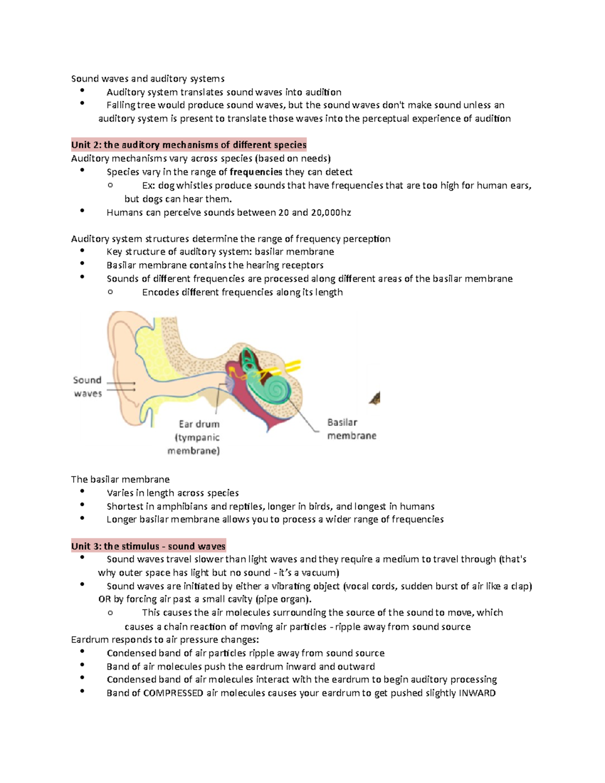 Audition module notes - Sound waves and auditory systems Auditory ...