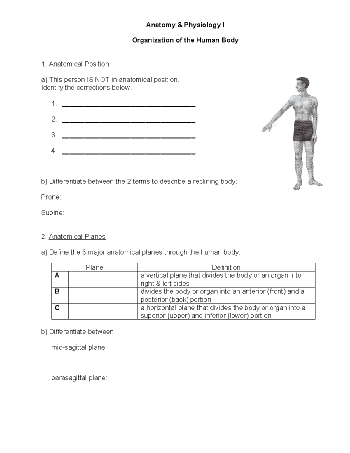Lab (Full) Organization of the Human Body (No prep) - Anatomy ...