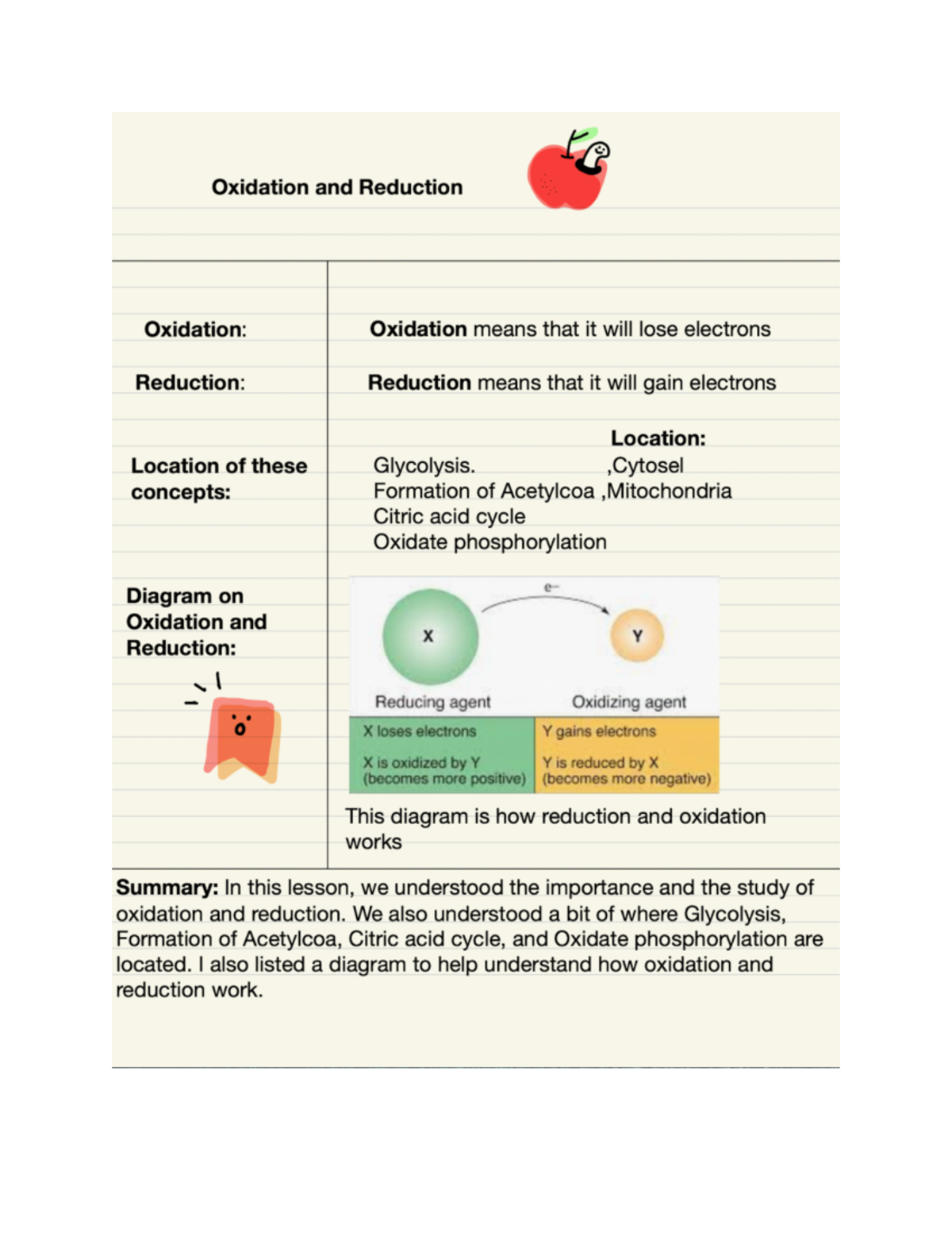Notes for bio-1 - Oxidation and Reduction Oxidation: Oxidation means ...