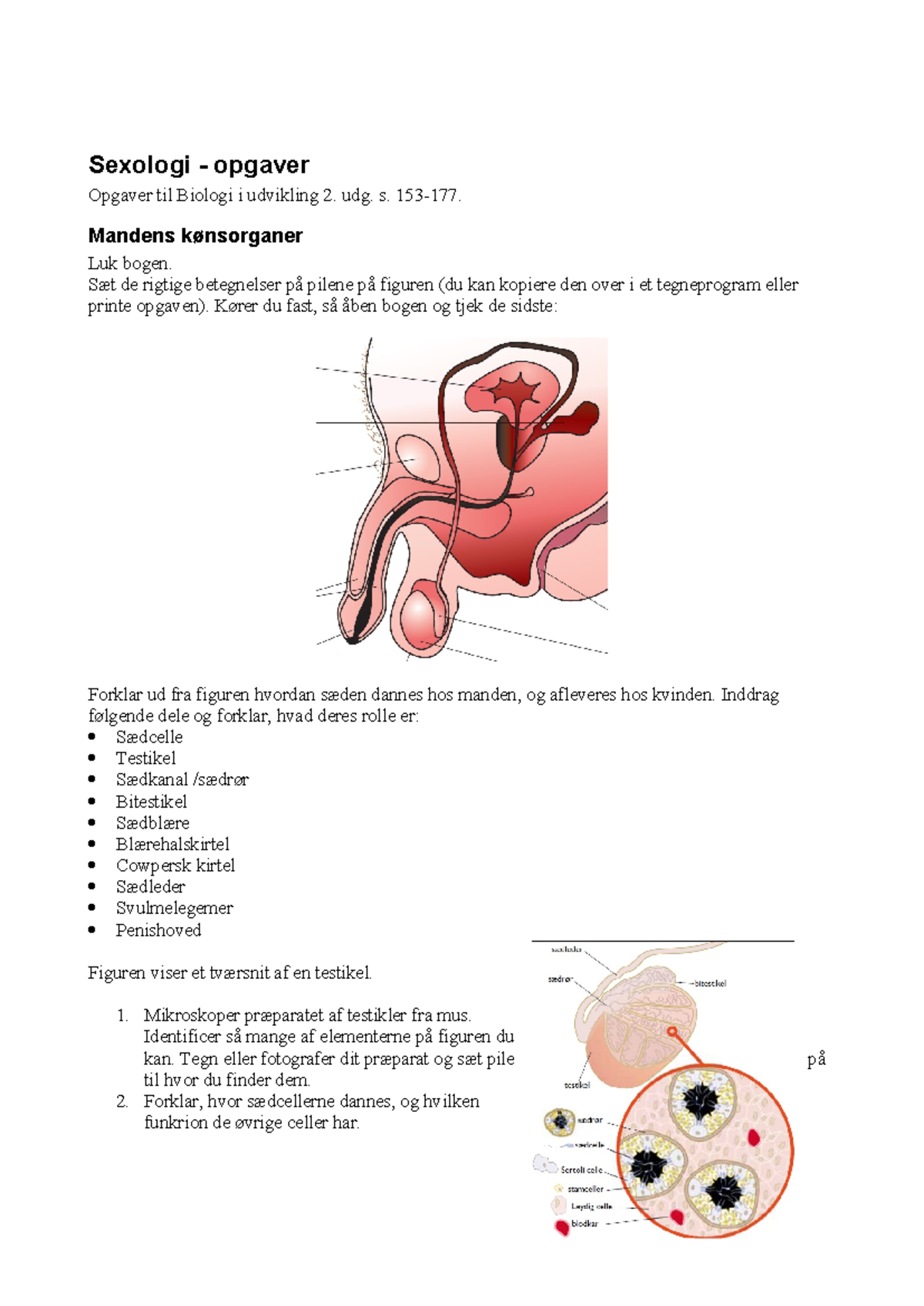 02 Sexologi opgaver til Bi U 1b med svar - Sexologi - opgaver Opgaver til Biologi i udvikling 2 ...