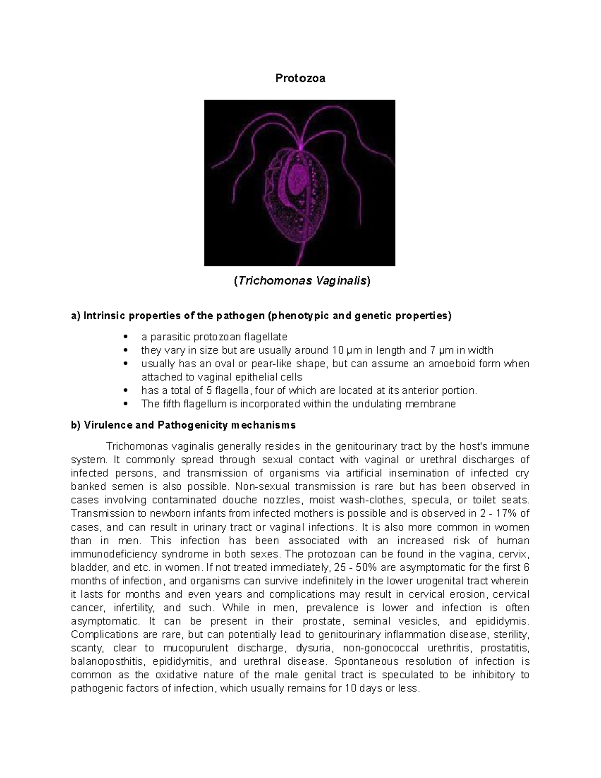 Protozoa - The fifth flagellum is incorporated within the undulating ...