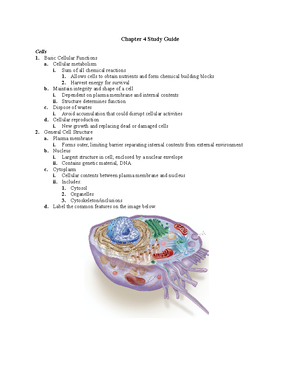 HSCI 101 Off Lab Assignment 5 Fall 2022 - Name: Lindsay LoPolito Muscle ...