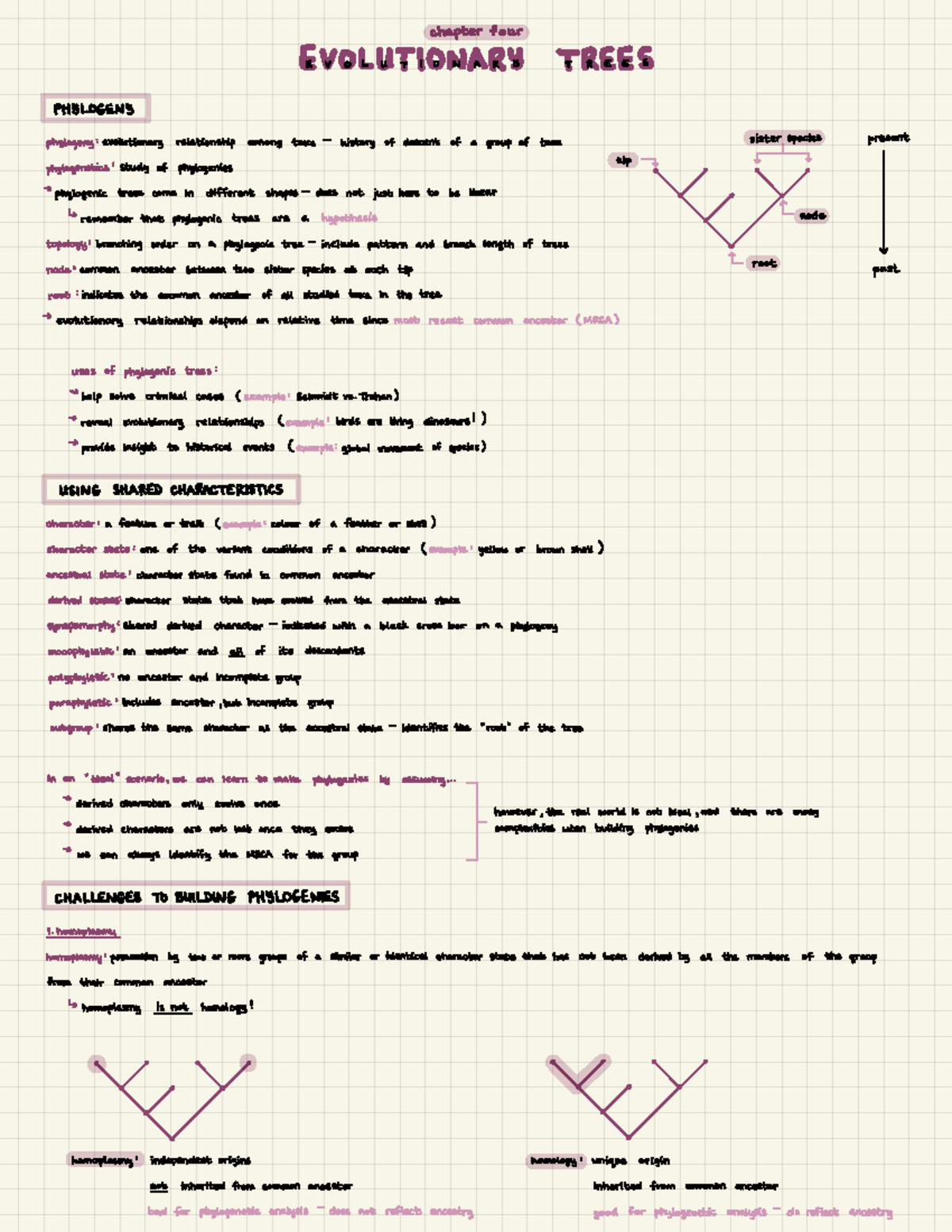 Chapter 4- Evolutionary Trees - chapter four €KQkuUFtQNARb FREES ...