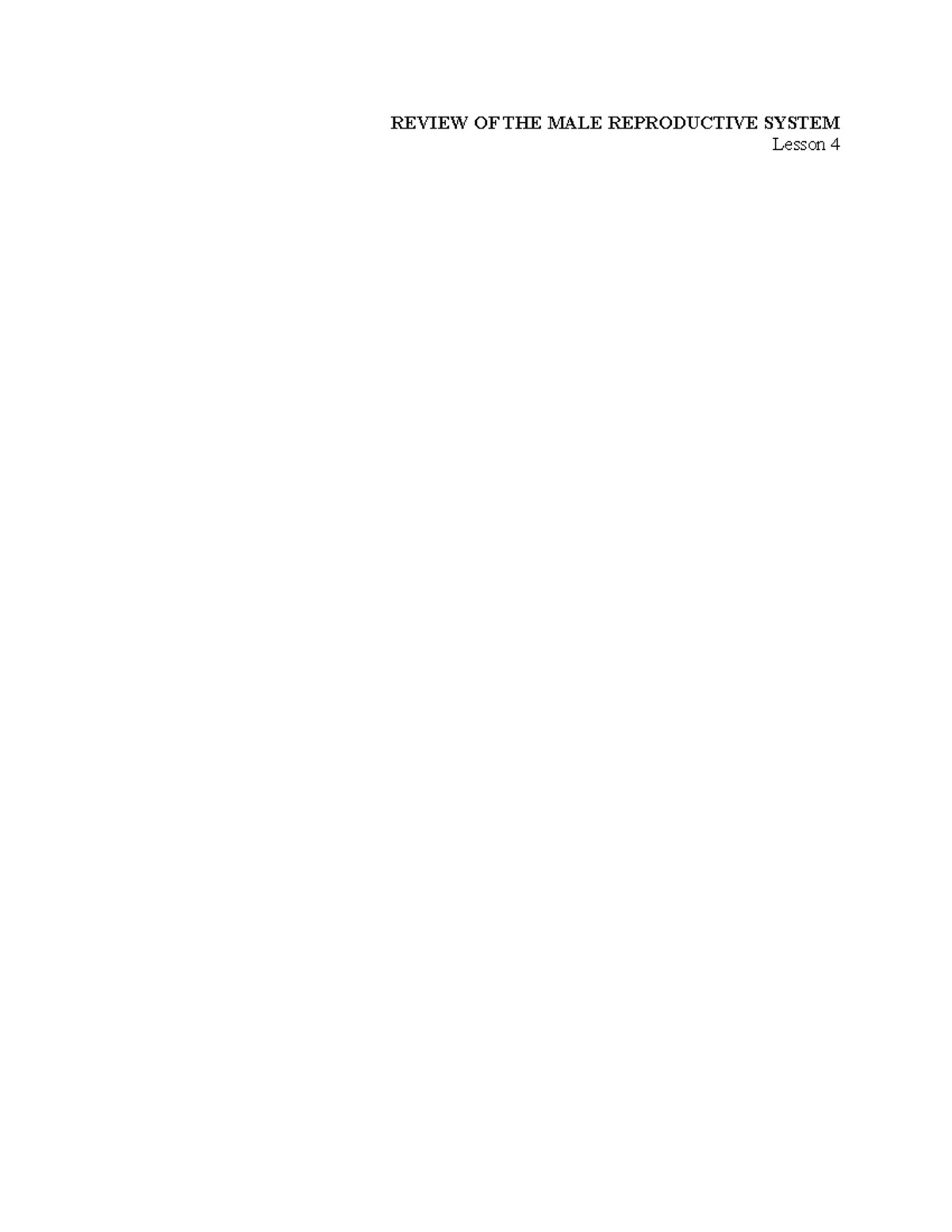 Lesson 4 - Review OF THE MALE Reproductive System - REVIEW OF THE MALE ...