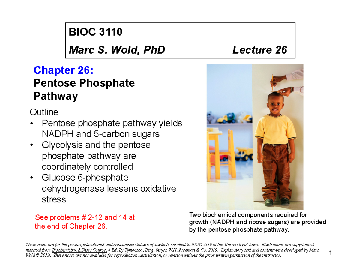 3110 Chap26(Wold)-Pentose Phosphate Pathway - BIOC 3110 Marc S. Wold ...