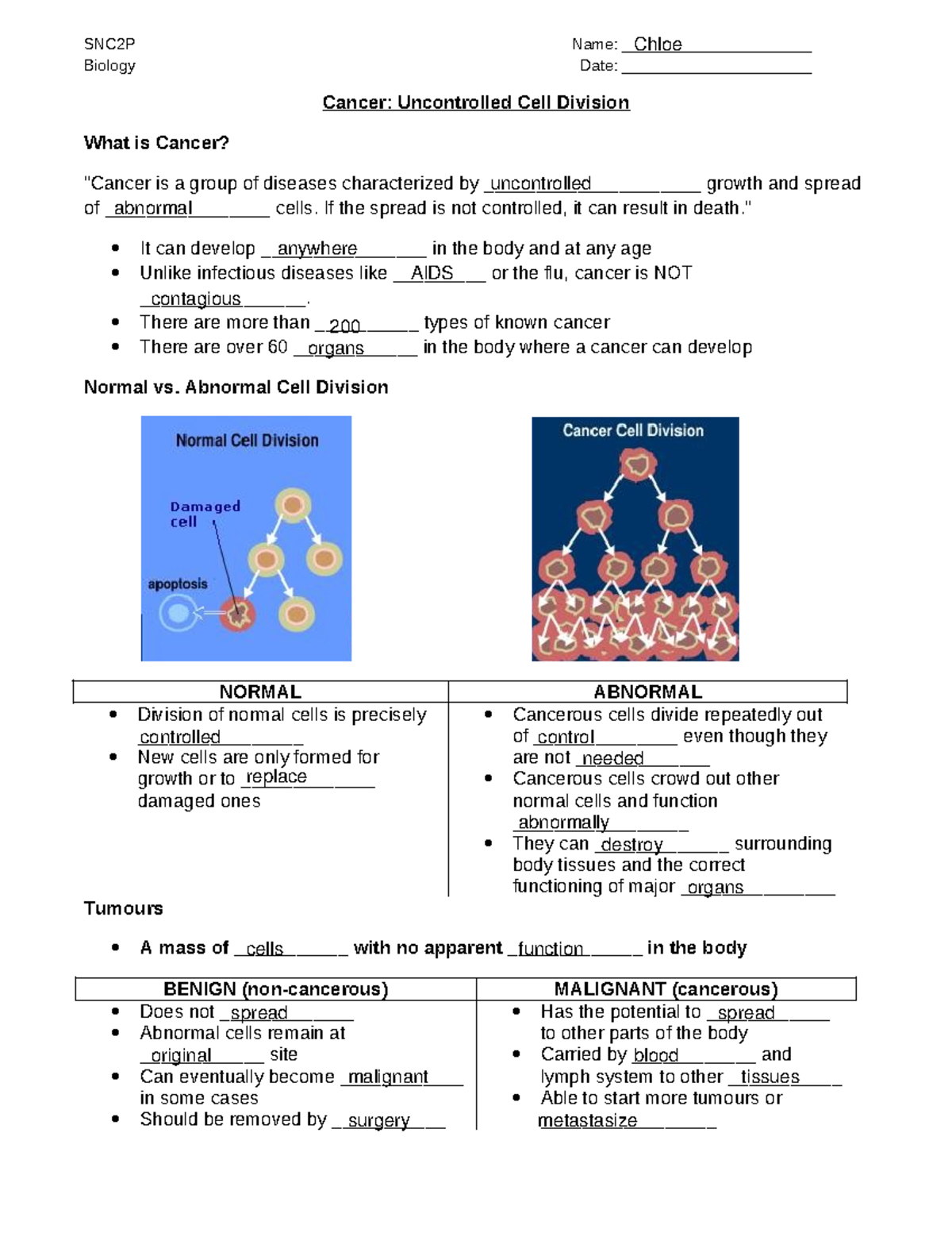 06 - Cancer new (1) (1) - Gr. 10 Chem - SNC2P Name ...