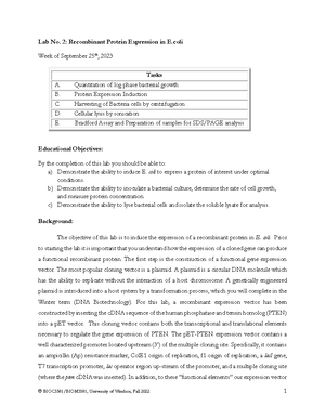 Lab3 W2024 Flow Cytometry - © BIOM-3581/BIOC-3581, University of ...