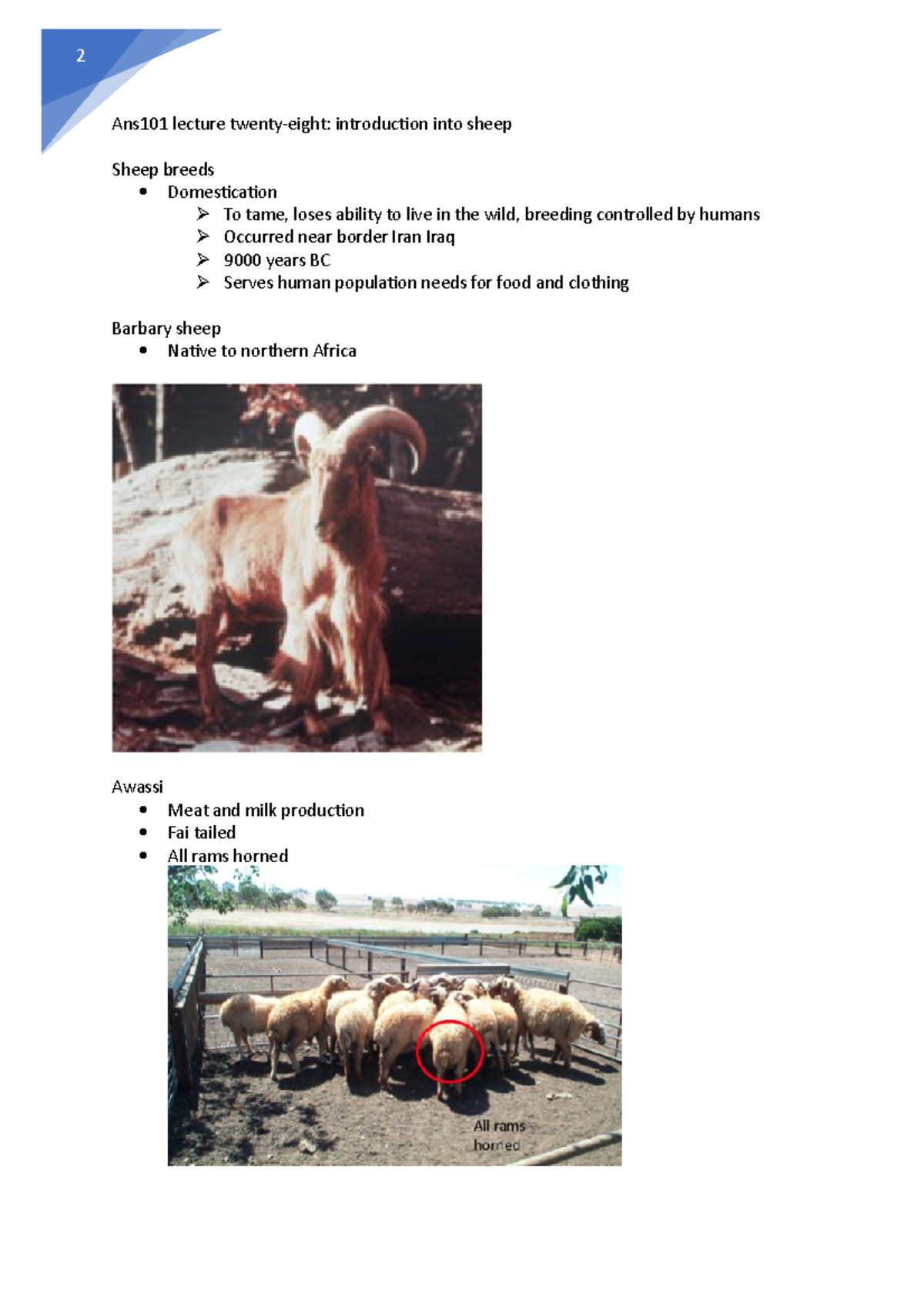 Ans101 lecture twenty eight - Ans101 lecture twenty-eight: introduction ...