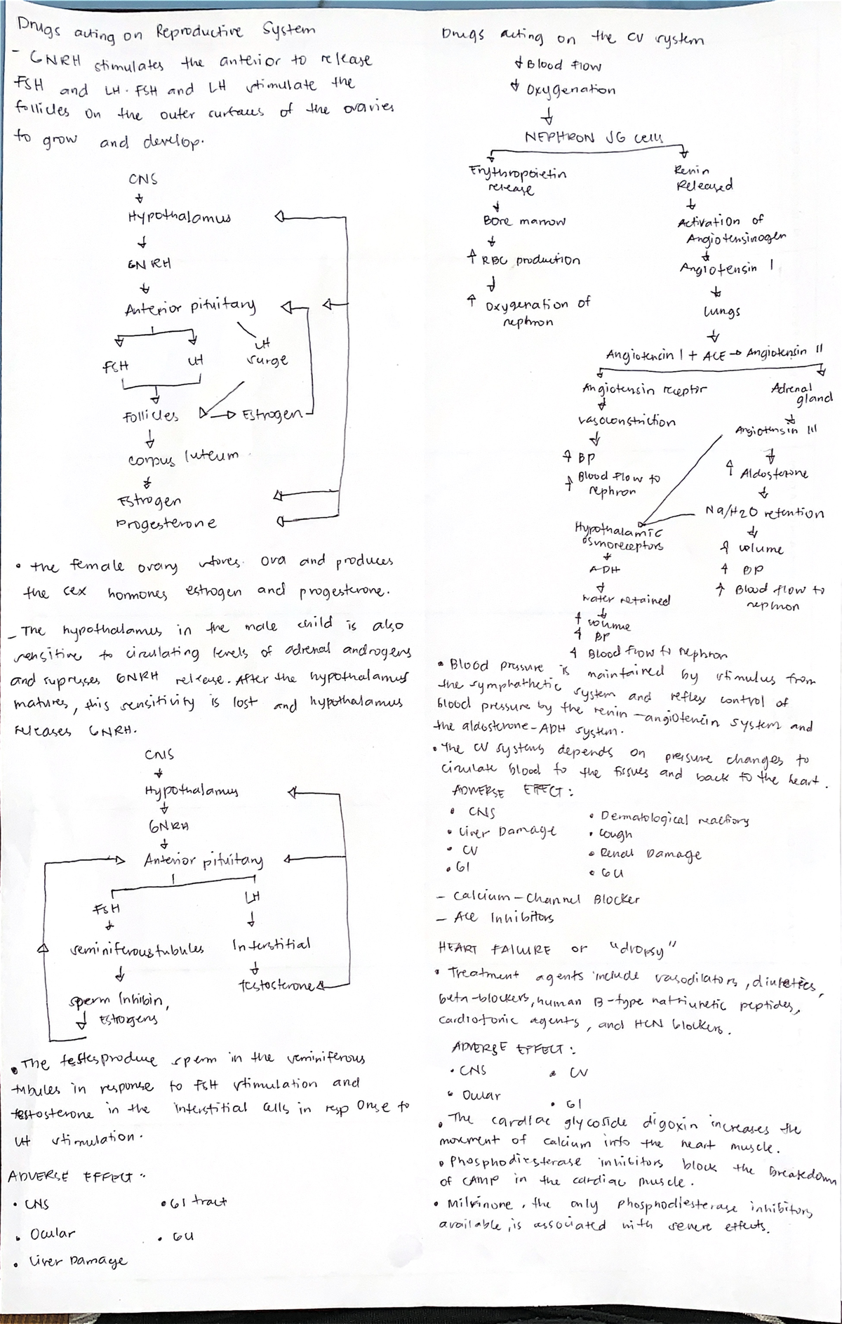 Pharmacology 2 - Notes for you - Drugs acting on Reproductive System ...