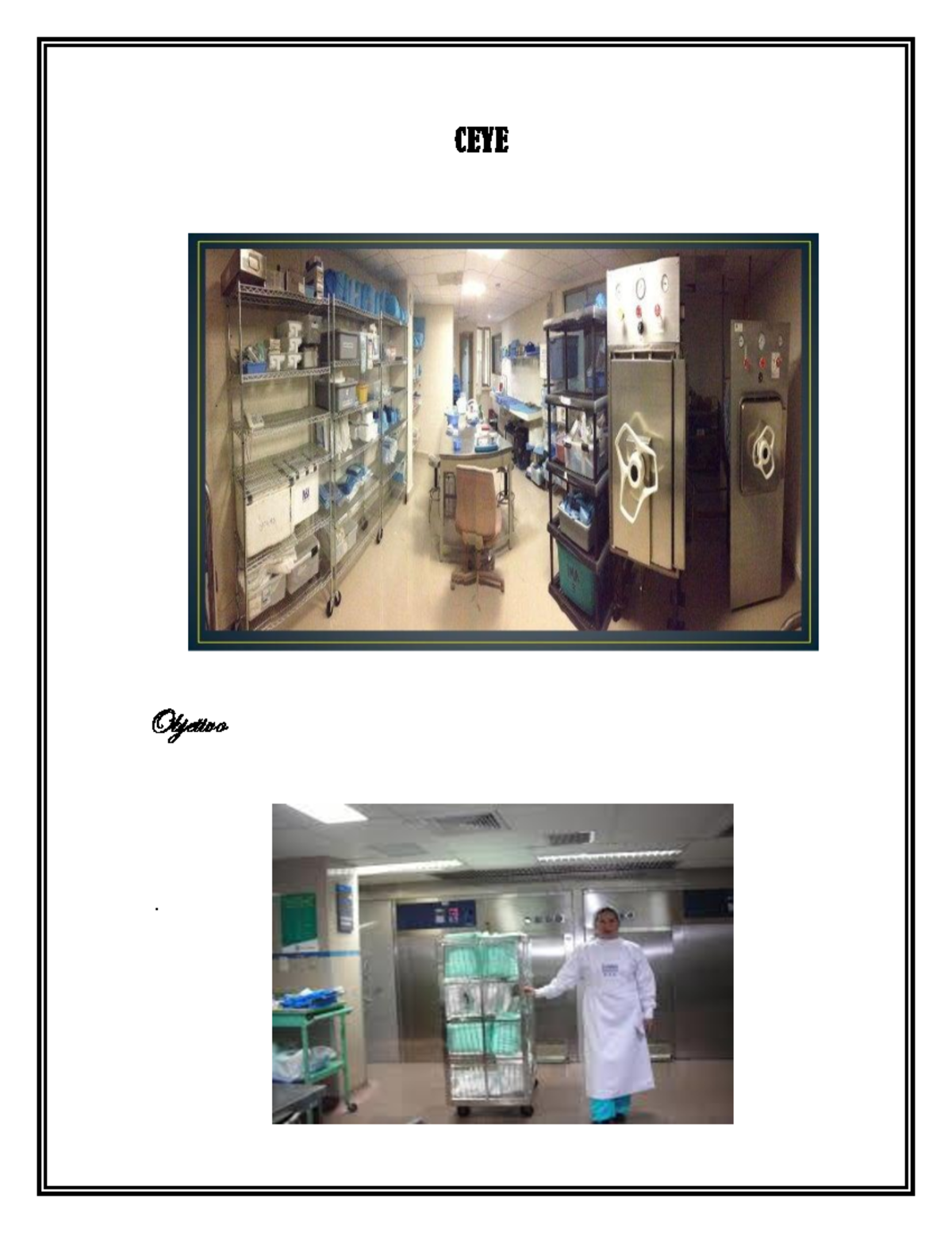 CEYE 11 - Licenciatura en enfermería - CEYE Objetivo . Áreas de CEYE Área roja o zona ...