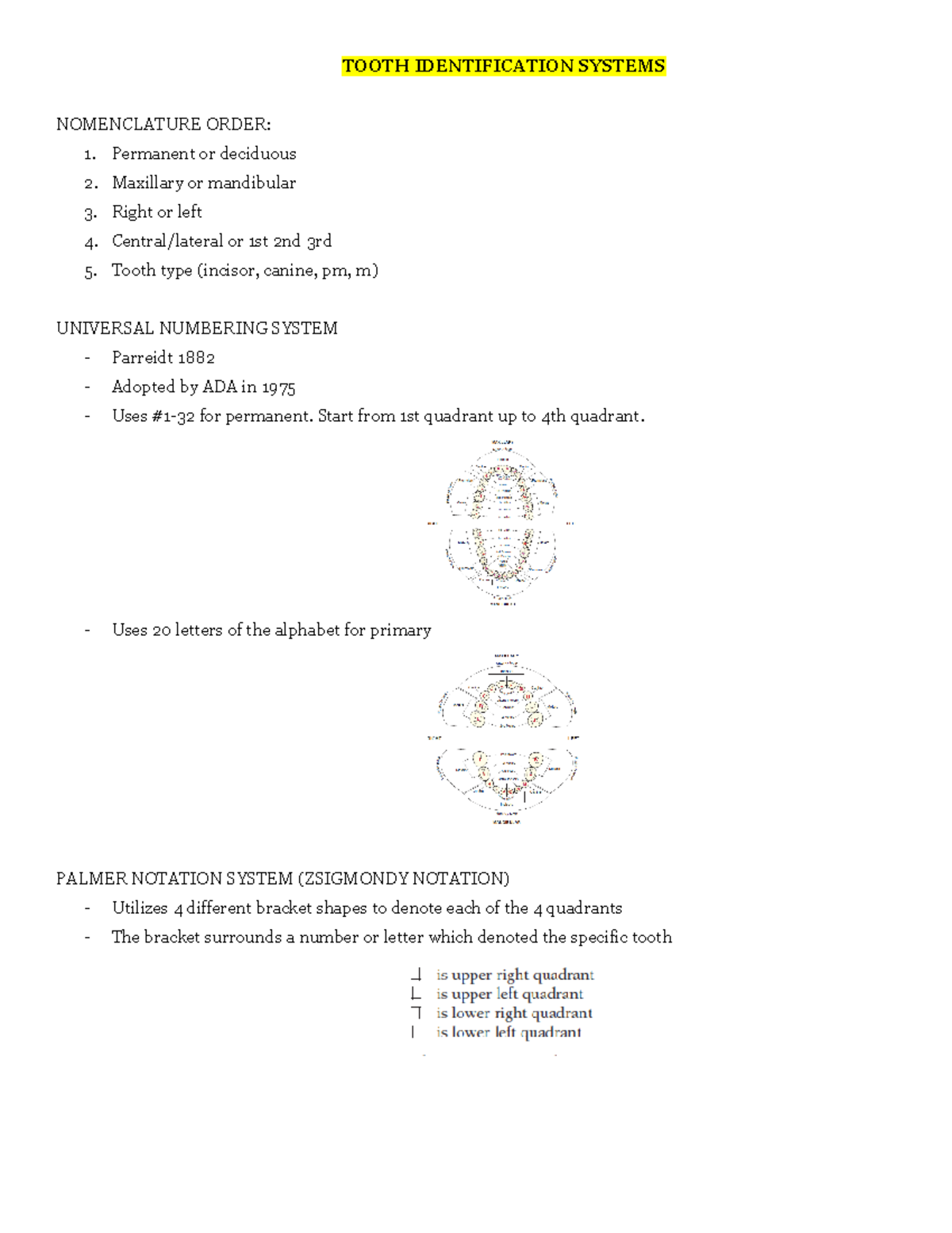 Oral anatomy tooth identification systems - TOOTH IDENTIFICATION ...