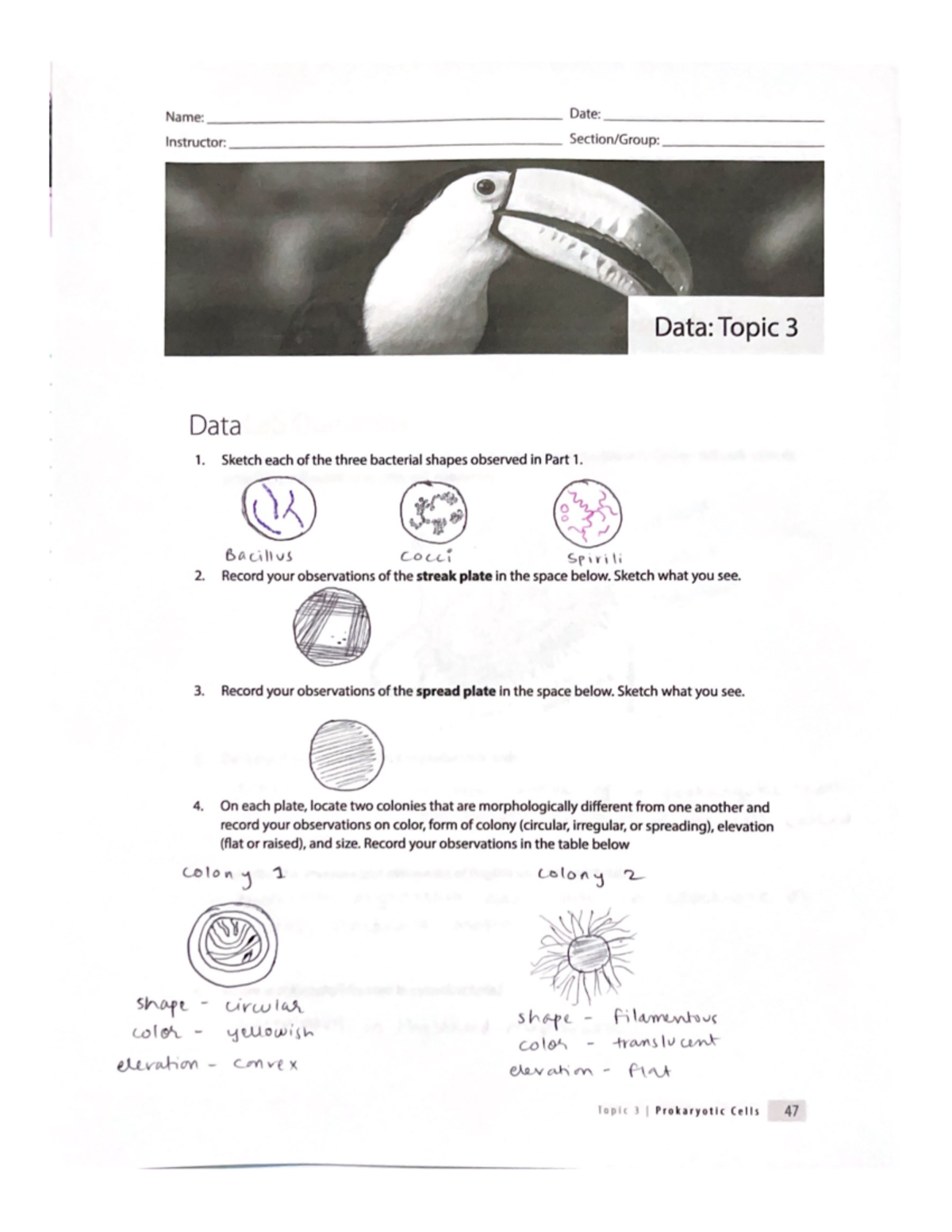 By 123 - lab manual - BY 123L - Studocu