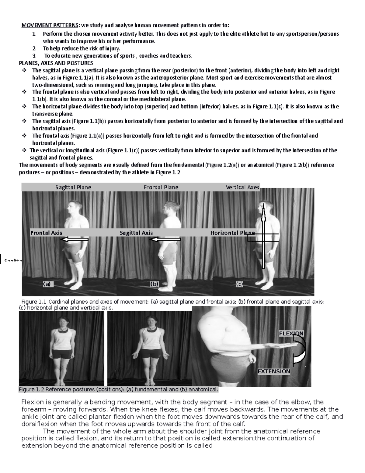 Hand-out2 - Principles of Motor Control - MOVEMENT PATTERNS: we study ...