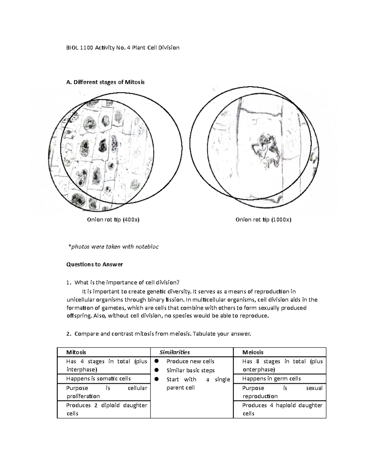 Act 4 Plant Cell Division- Laboratory Report - Copy - BIOL 1100 ...