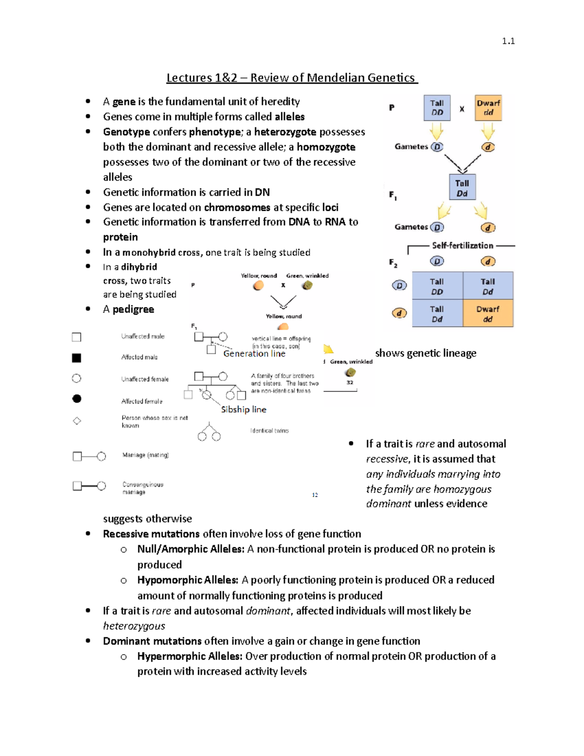 Lecture 1&2 - Review of Mendelian Genetics - 1 Lectures Review of ...