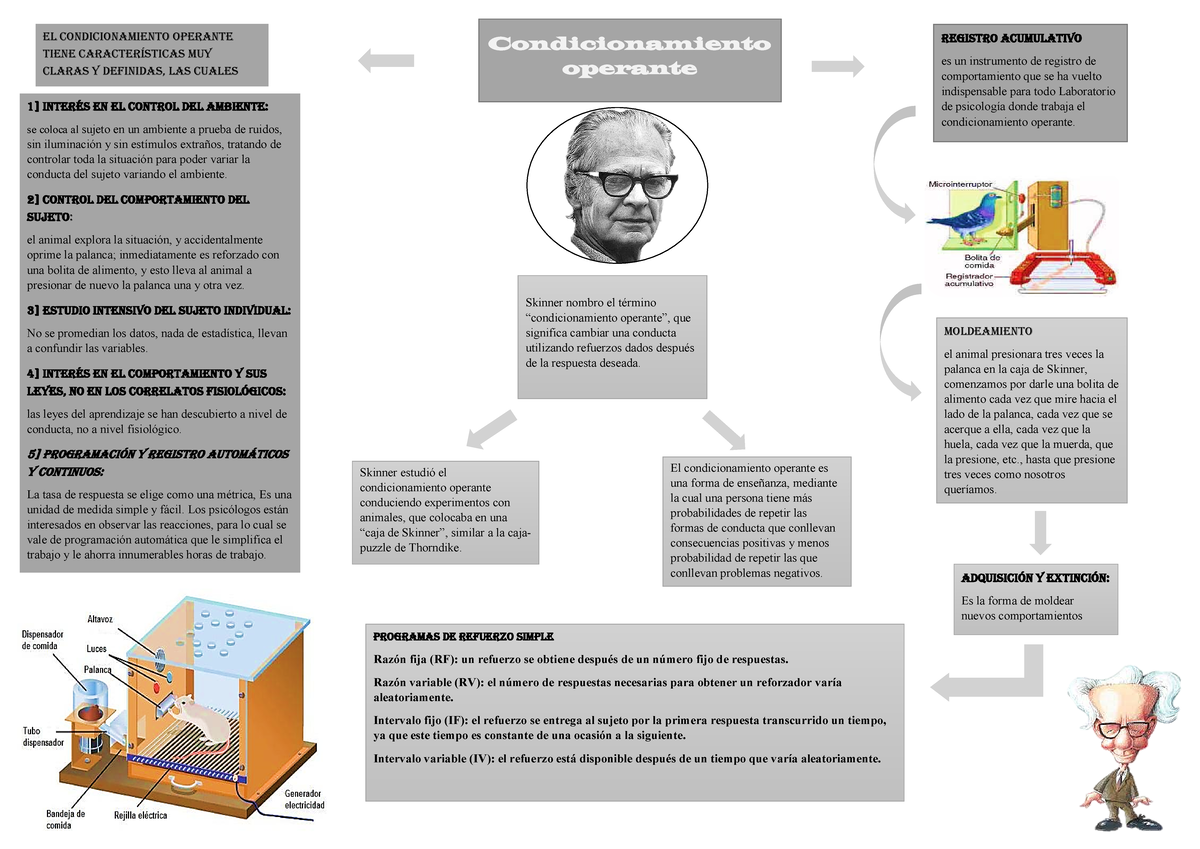 Condicionamiento operante - Skinner estudió el condicionamiento operante conduciendo ...