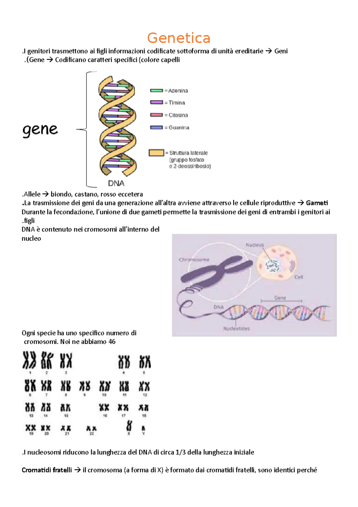 Genetica - UniRoma3 - Studocu