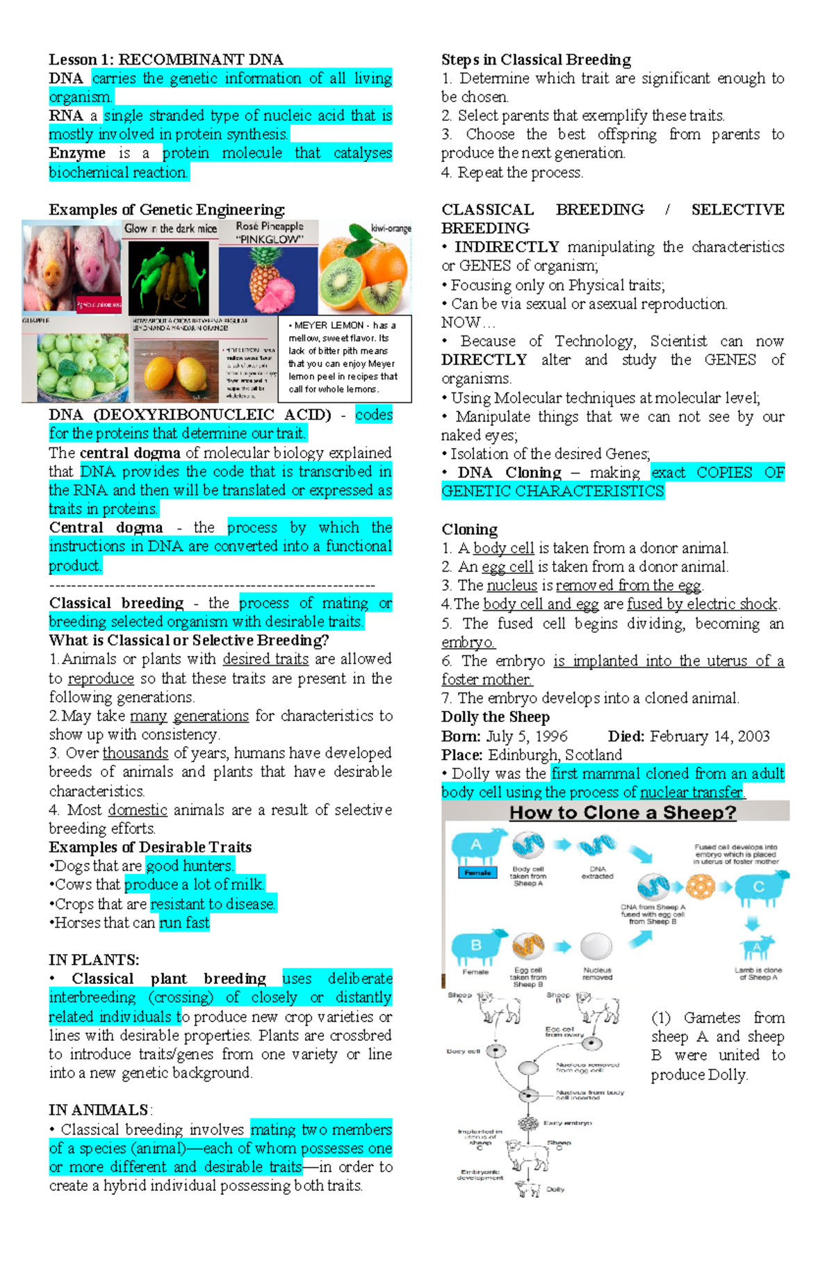 General Biology 3rd Quarter-1 - Lesson 1: RECOMBINANT DNA DNA carries ...