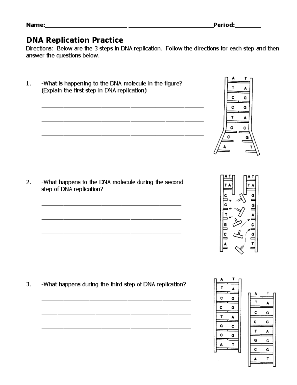 DNA REPLICATION WORKSHEET - Name ...