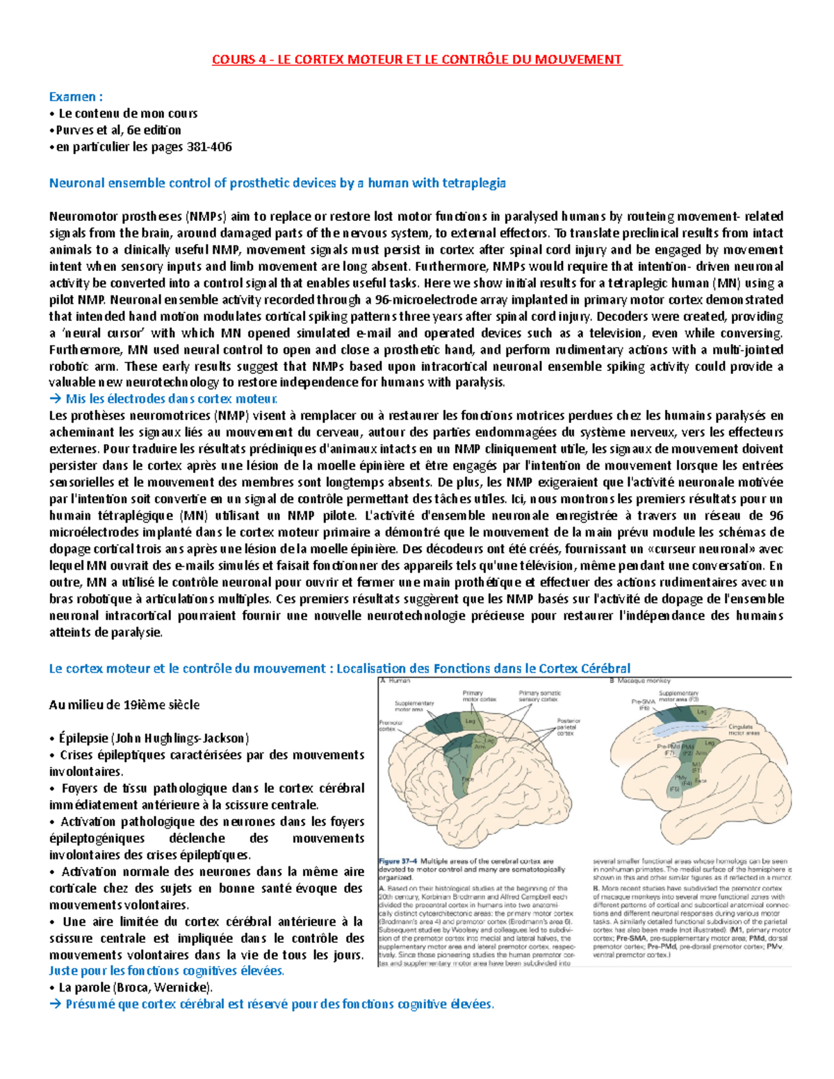 4- Cortex Moteur ET Controle DU Mouvement - COURS 4 - LE CORTEX MOTEUR ...