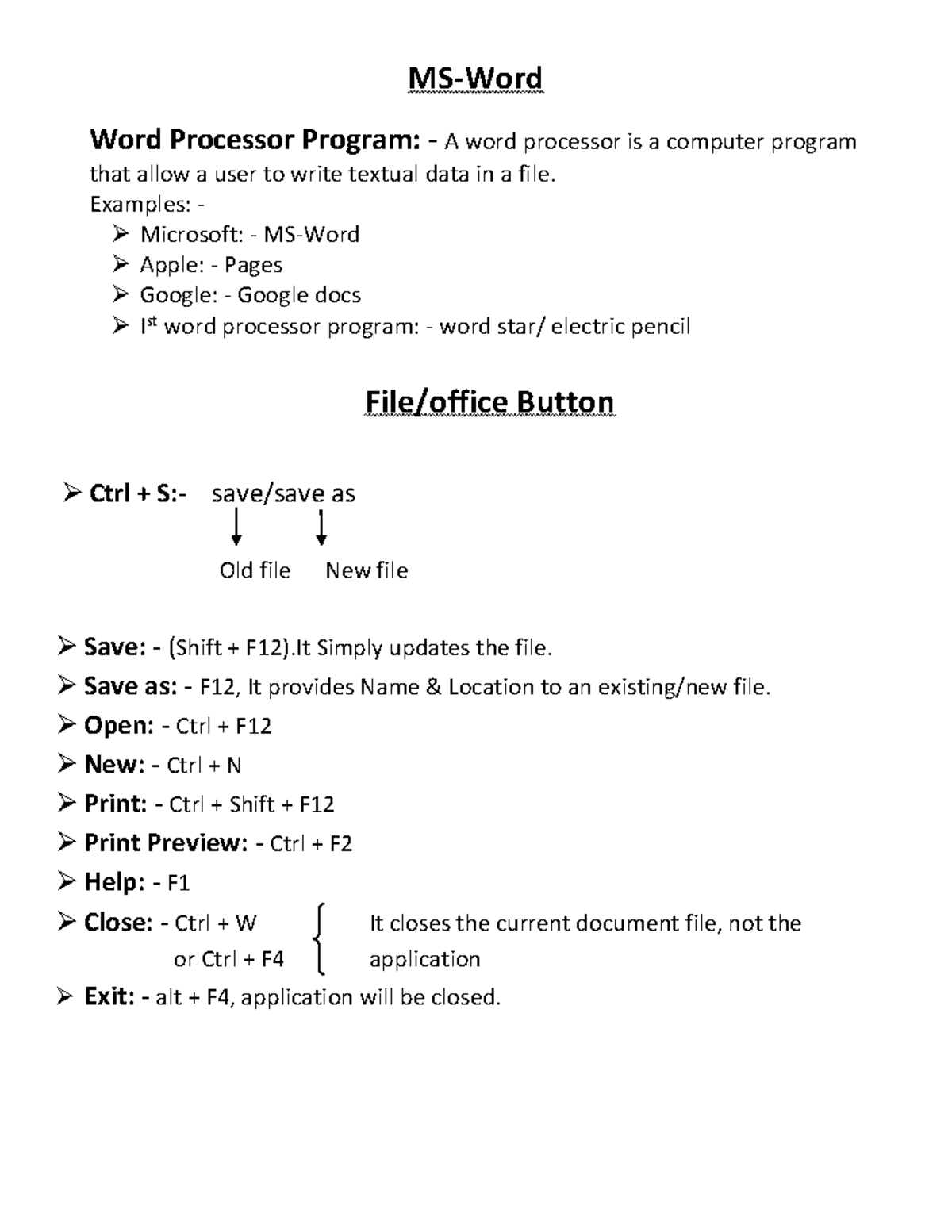 MS-Office Theory - fdgfdgfdfddf - MS-Word Word Processor Program: - A ...