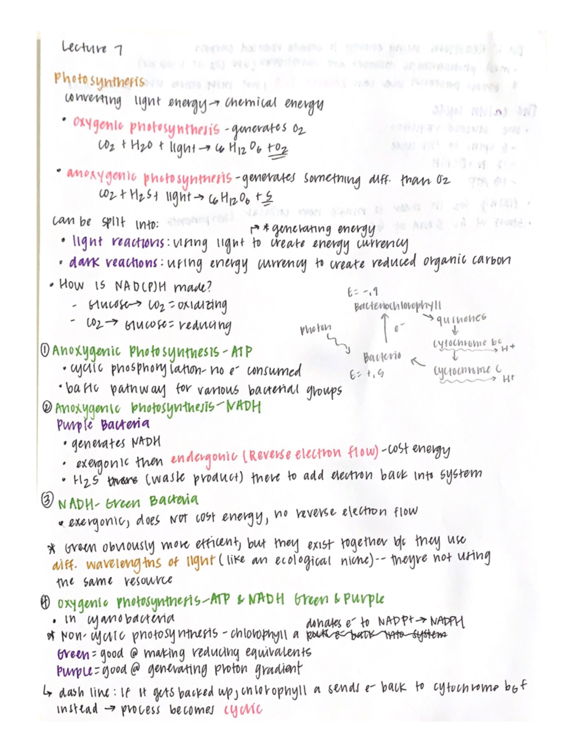 Bisc 333 Lectures 7-8 - Bisc 333 - Studocu